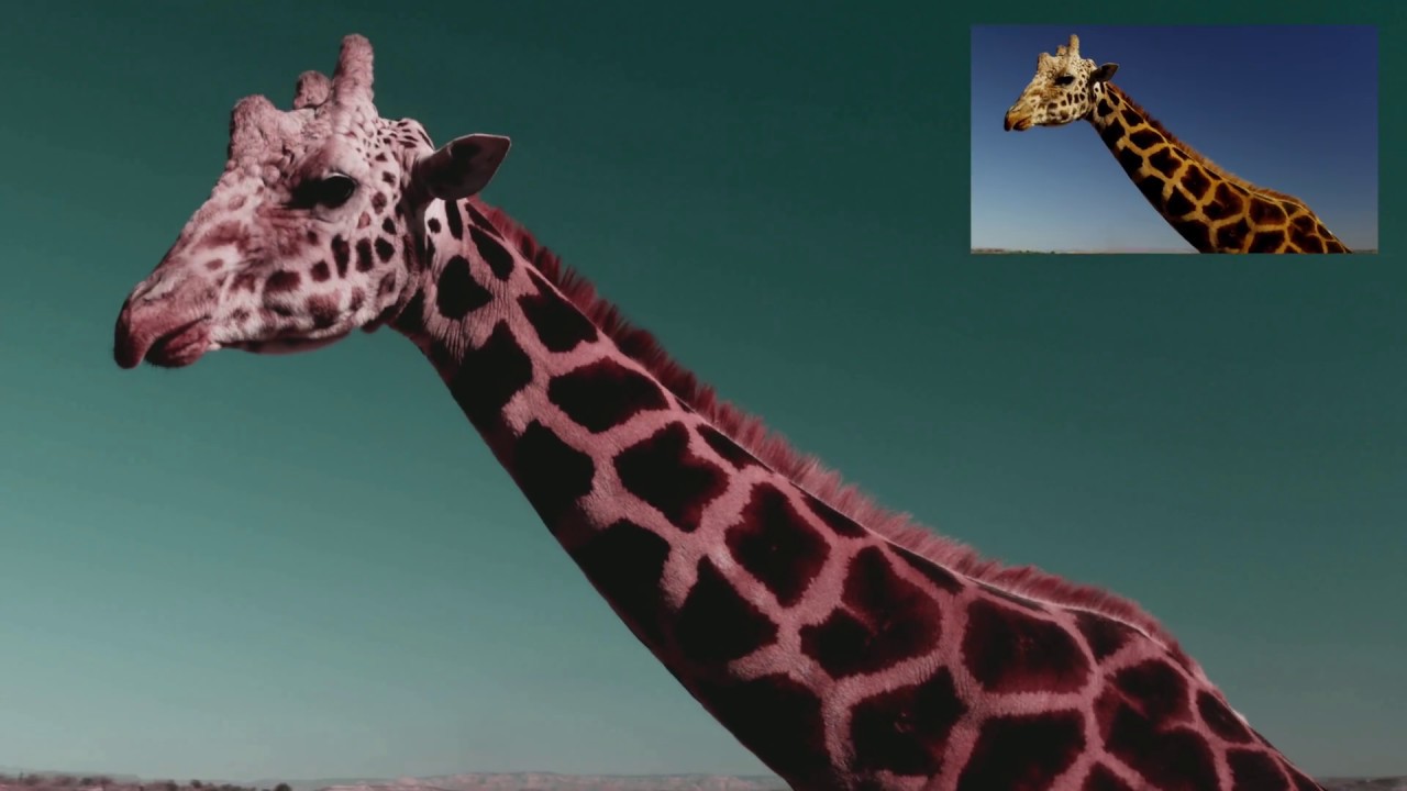 Color Blind Simulator (2011 - Now) | Carlos Hernández Matas, PhD